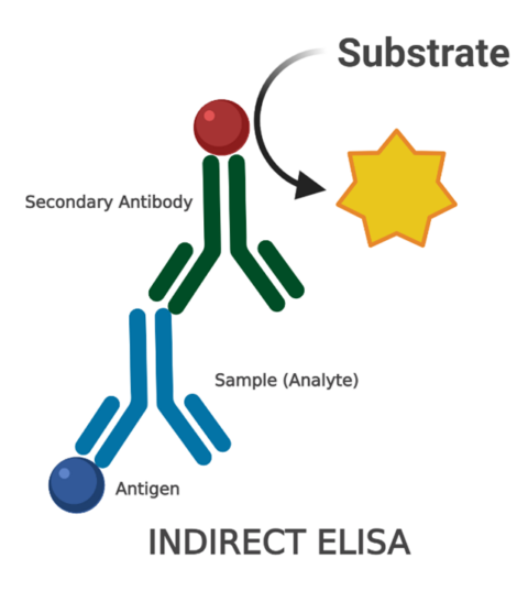 ELISA Kit - Afirmus Biotek Indonesia